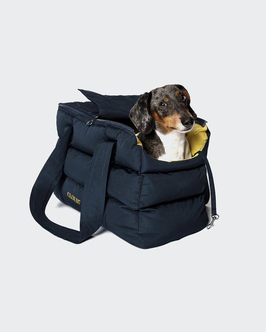 CLOUD7 - Buy high-quality & stylish products for your dog