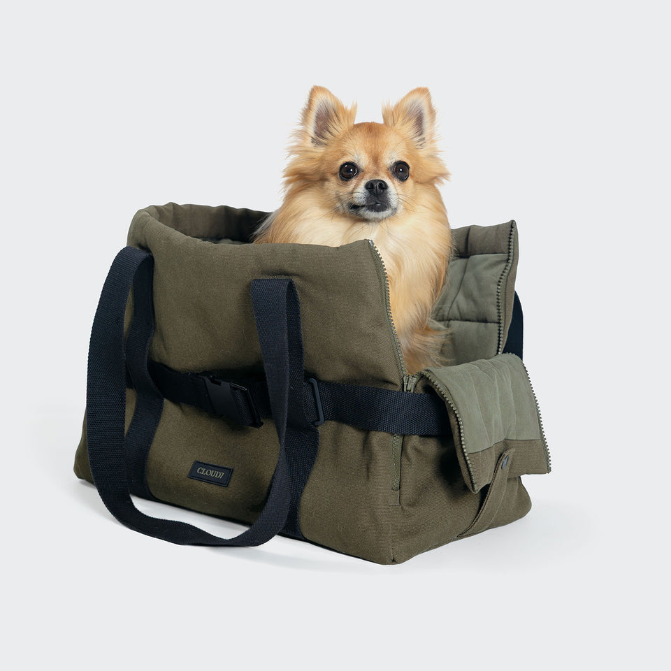 Buy exclusive new dog products online | CLOUD7