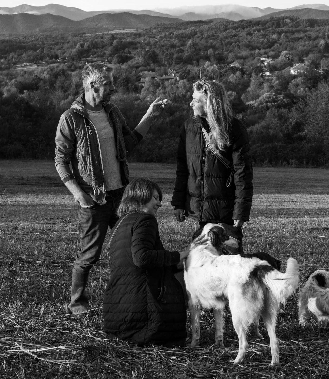 Animal Welfare and CLOUD7